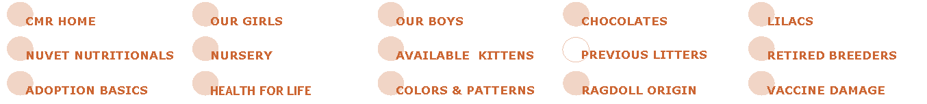 CAROLINA MINK RAGDOLLS PREVIOUS LITTERS